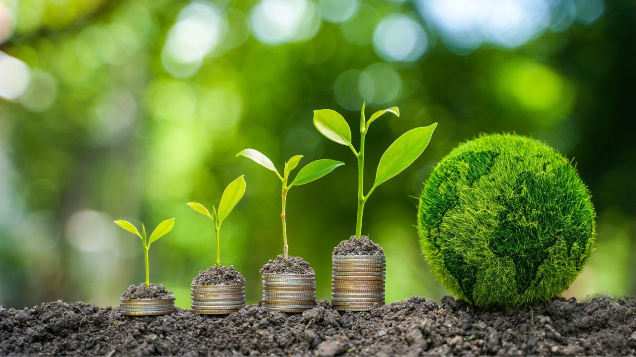 Climate Risk and Sustainability in Re/insurance USA 2023 | Intelligent ...